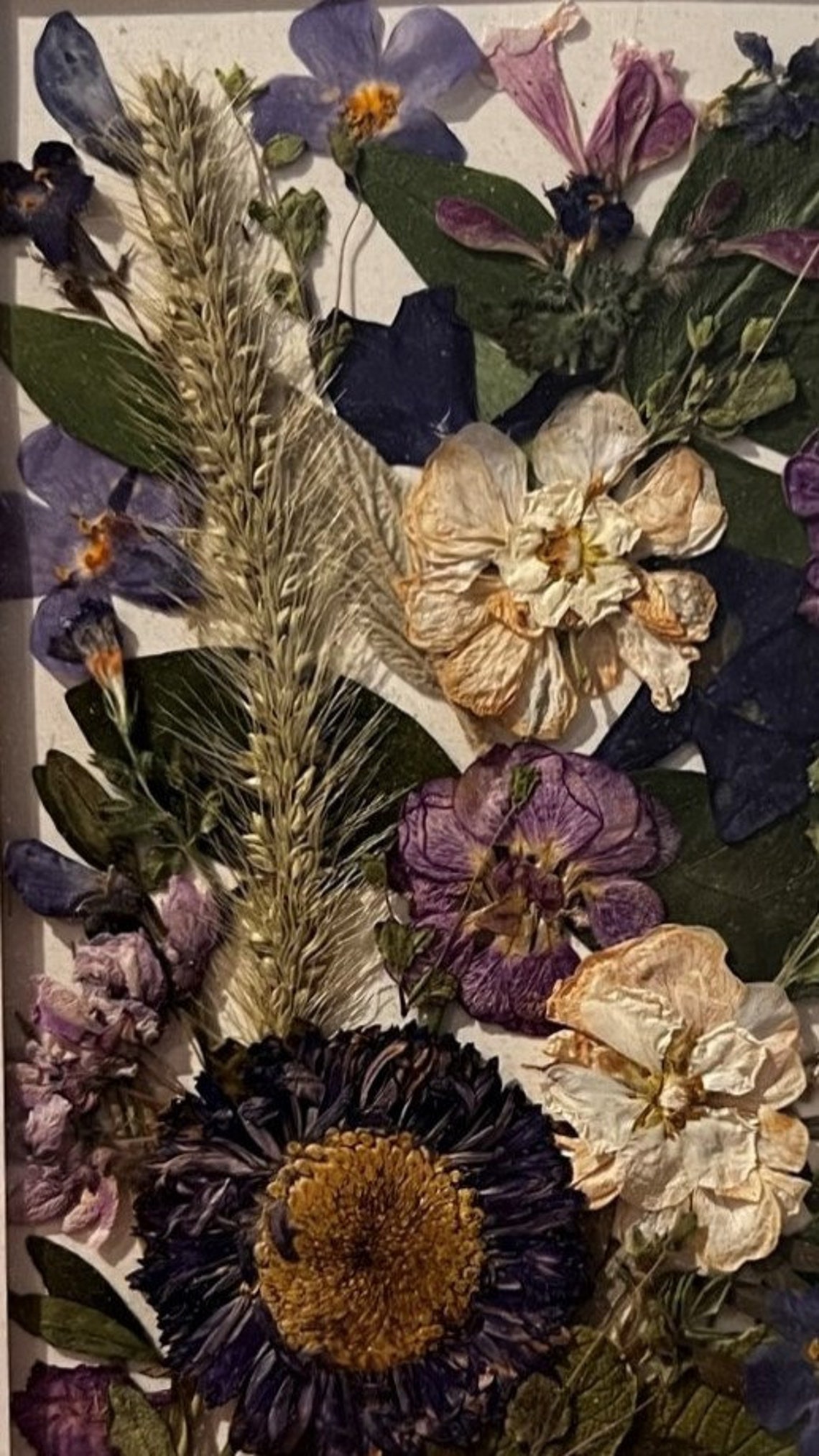 Pressed Flower Art Pressed Flower Framed Real Flowers Art Pressed ...