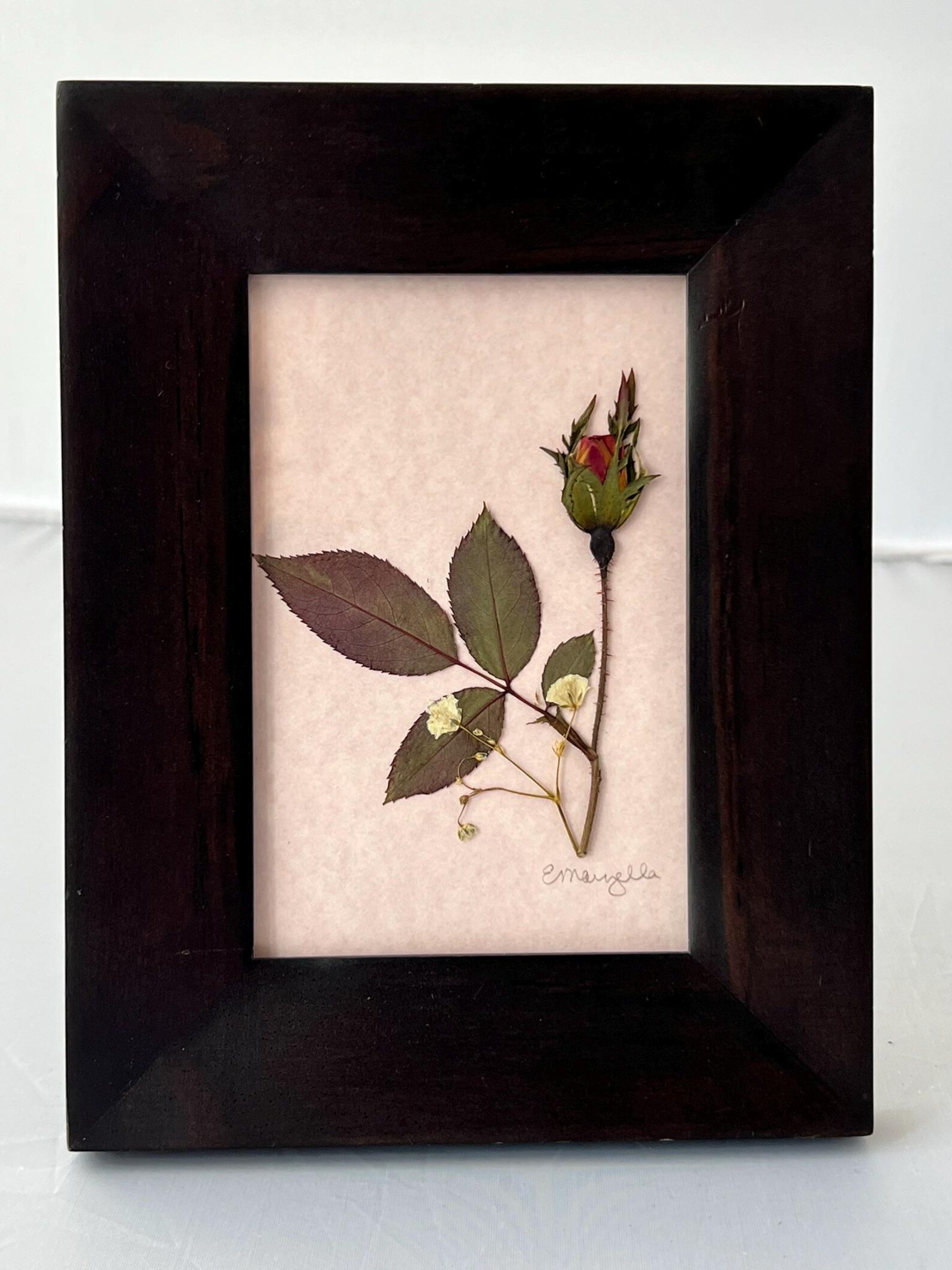 Pressed Flower Art: Minimalistic Design of a Simple Pressed Rosebud ...