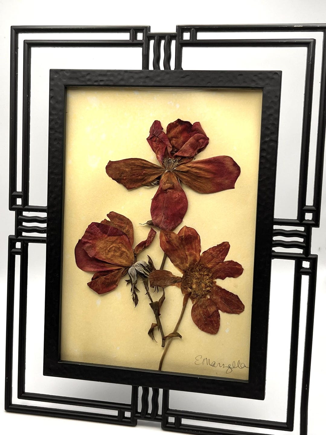 Pressed Flower Art: Three Pinkish Red/flowers Displayed on Neutral ...
