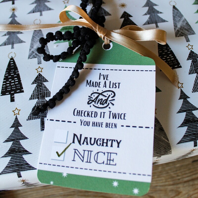 Naughty or Nice Tags - Etsy