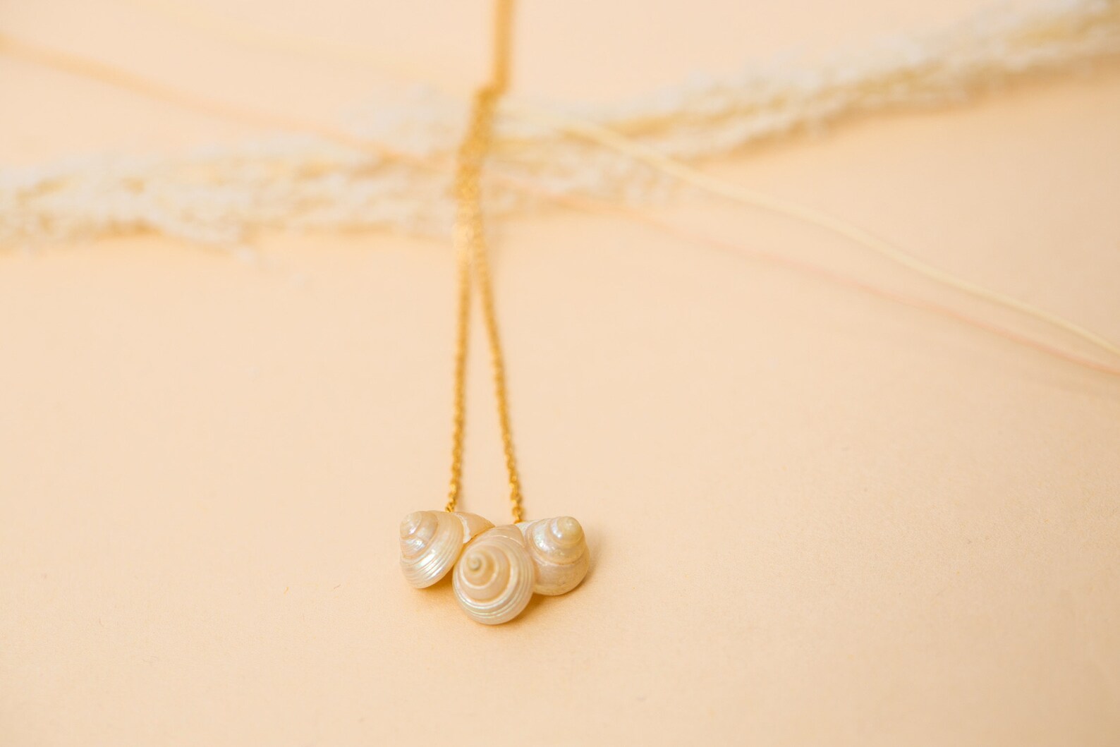Shell Charm Necklace on Gold Chain - Etsy