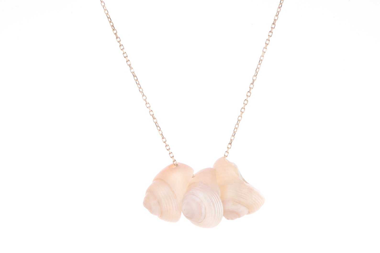 Shell Charm Necklace on Gold Chain | Etsy