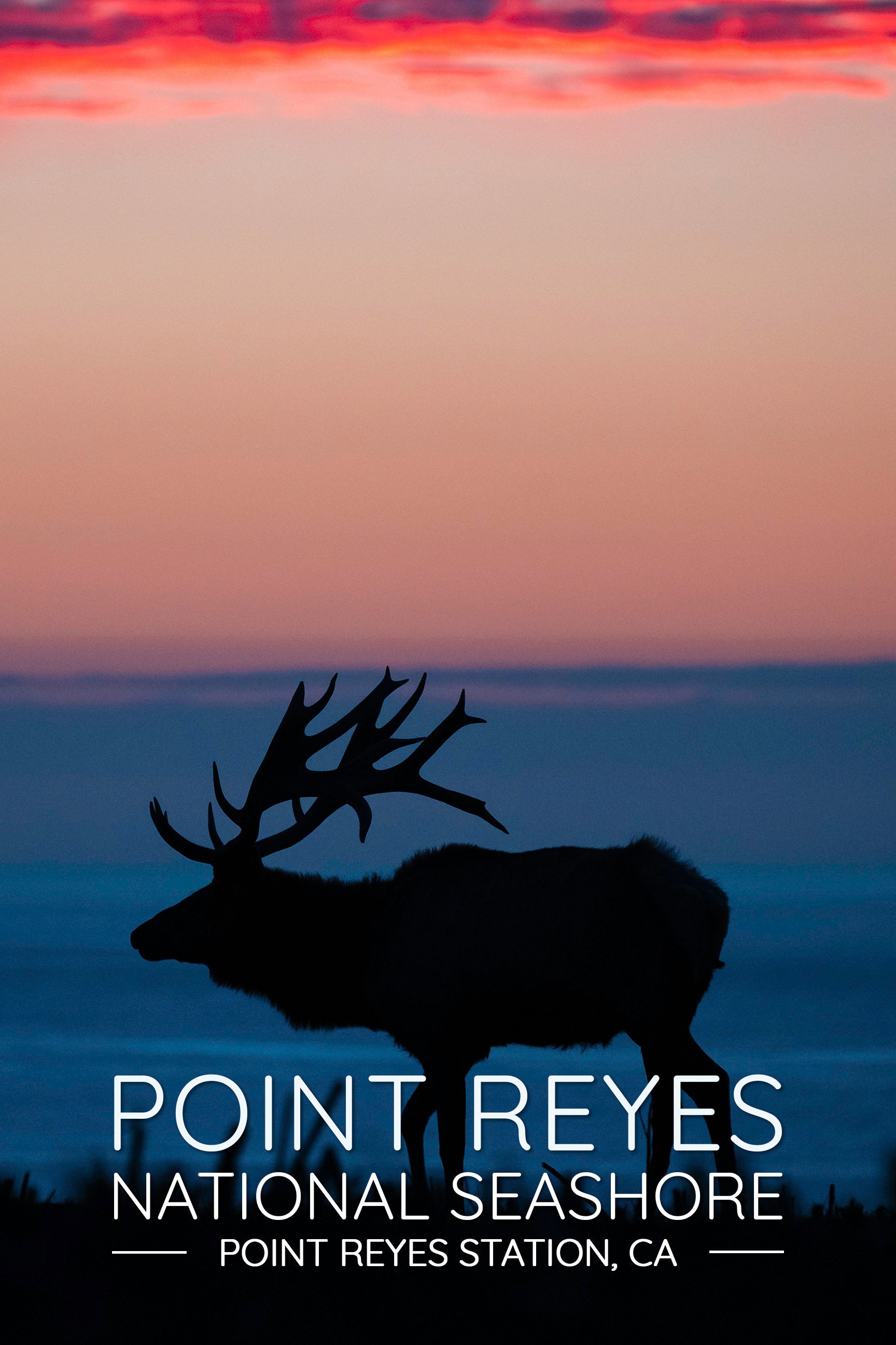 National Parks Poster Series: Point Reyes National Seashore 6 Options ...