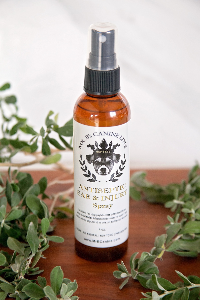 4 Oz Antiseptic Ear and Injury Spray for Dogs All Natural Toxic Free ...