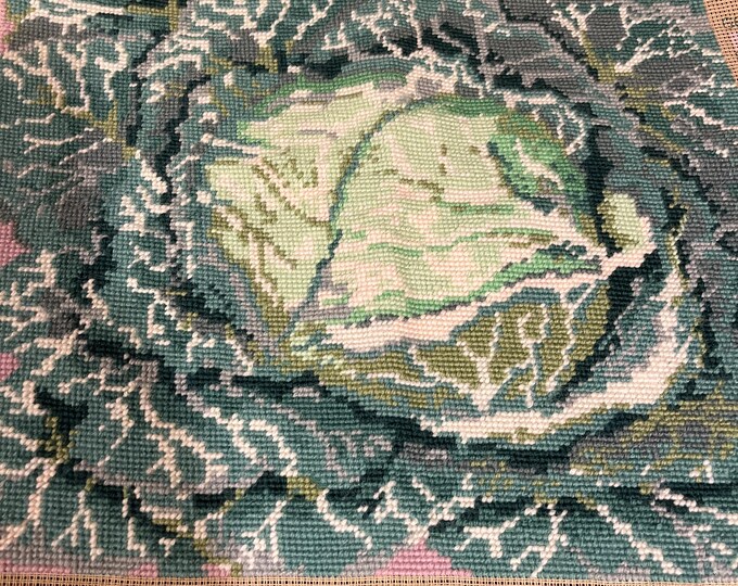 Kaffee Fassett Iconic Cabbage Cushion Completed Tapestry Needlepoint ...