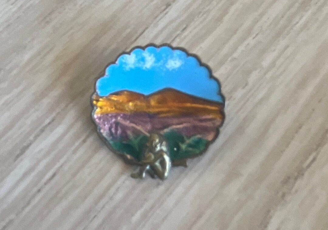 1950s Enamelled Lucky Pixie Brooch, Cornish Pixie, 3 D - Etsy