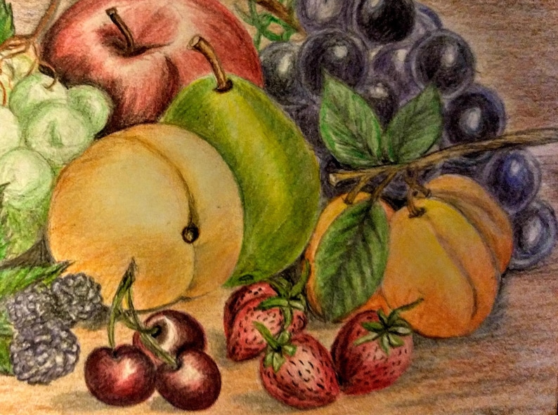 Fruit Still Life ~ Color Pencil Drawing ~ **downloadable PHOTO ...