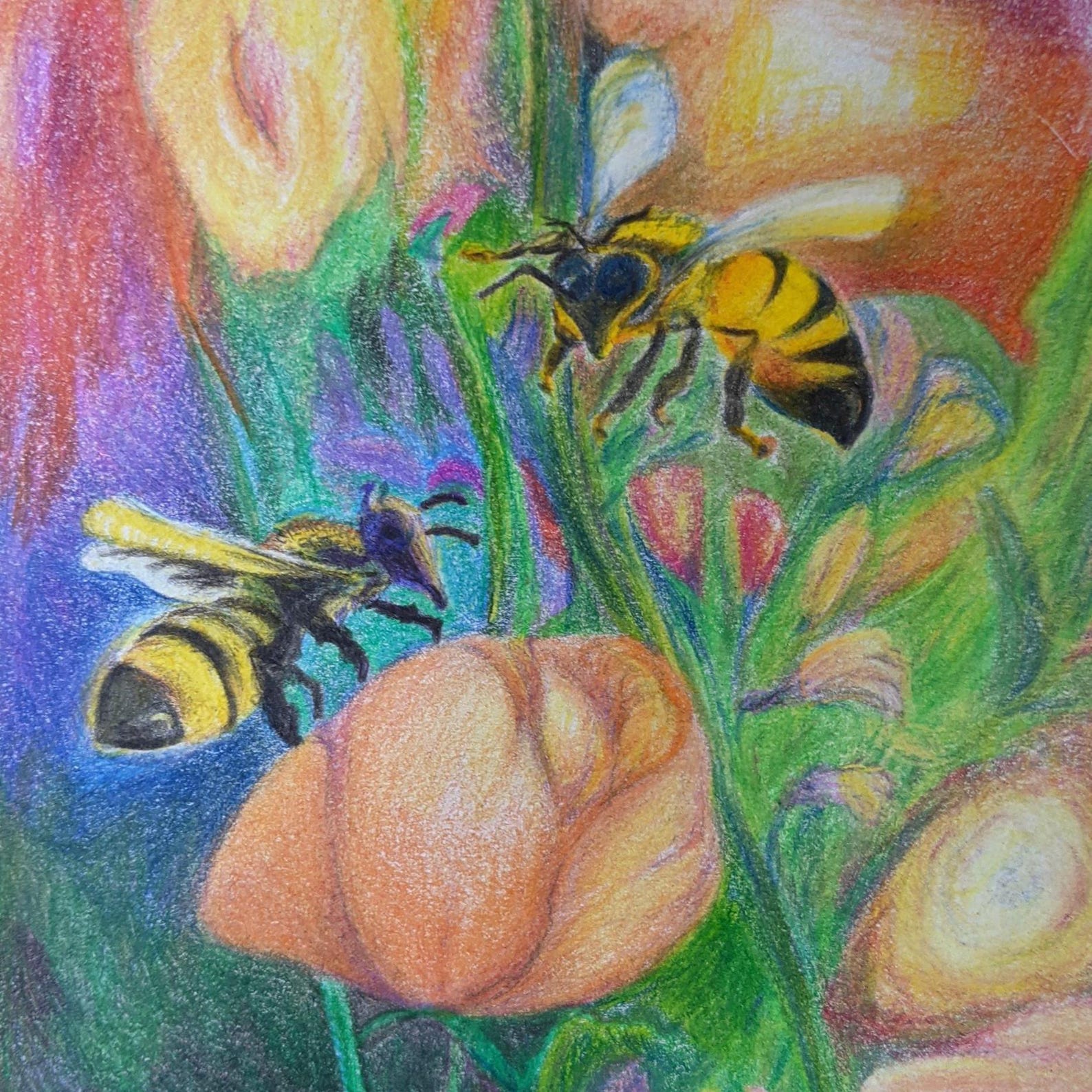 Busy Bee Colorful Pencil Drawing Closeup of Bees and Flowers Original ...