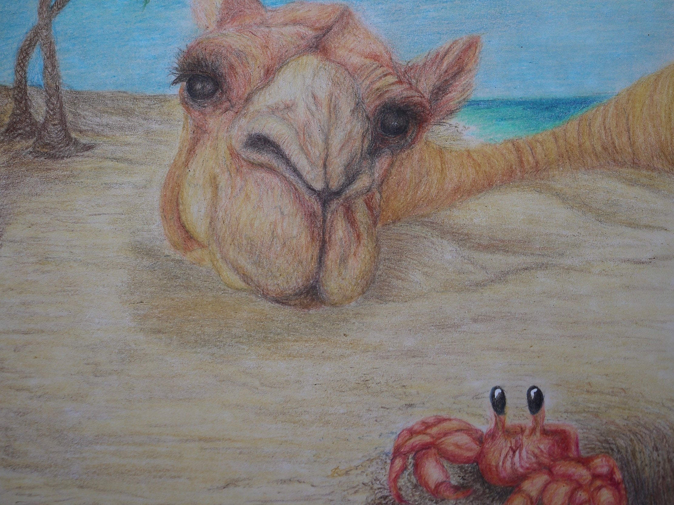 Camel and Crab on the Beach, Camel Colored Pencil Drawing ...