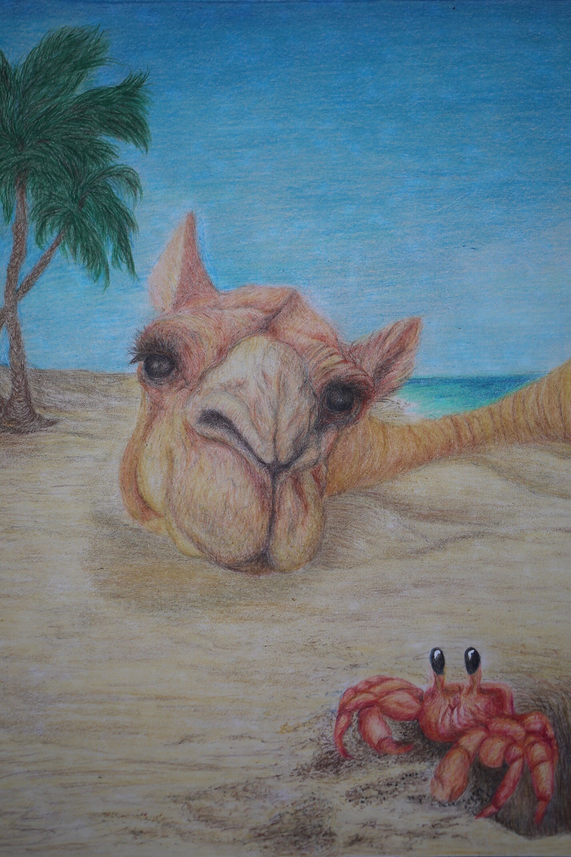 Camel and Crab on the Beach, Camel Colored Pencil Drawing ...