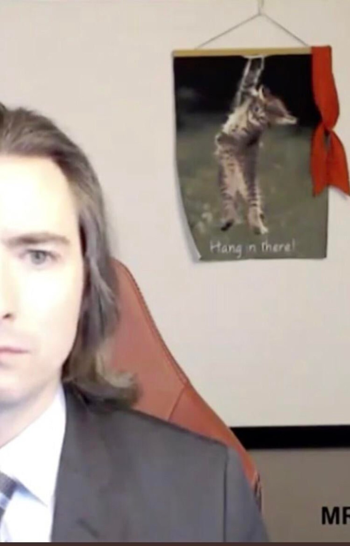 Hang in There Poster - Cat - DFV - Roaring Kitty - Keith Gill - Etsy