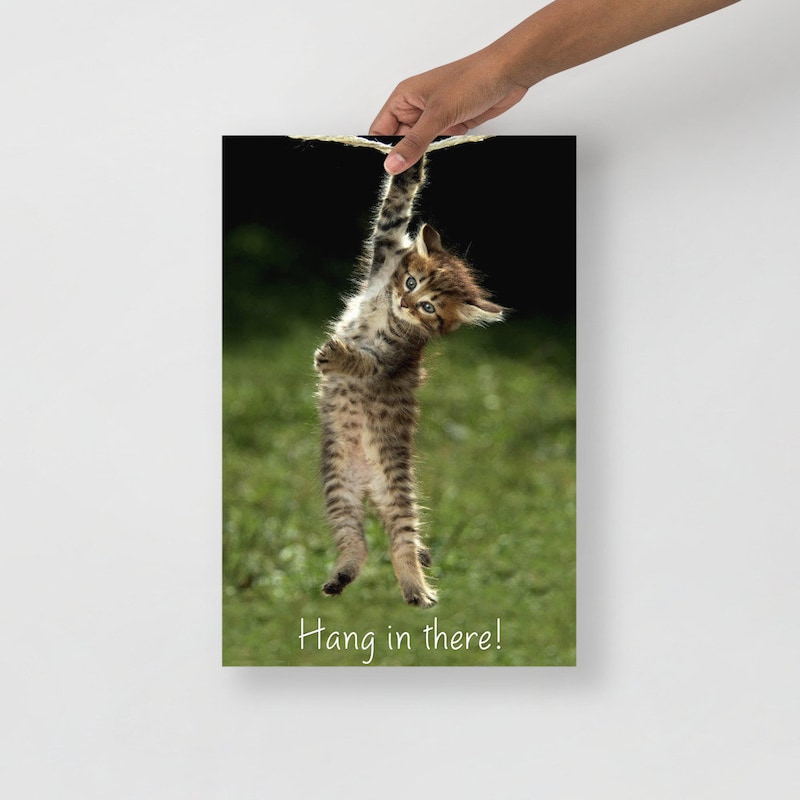 Cat Hang in There Poster - Etsy