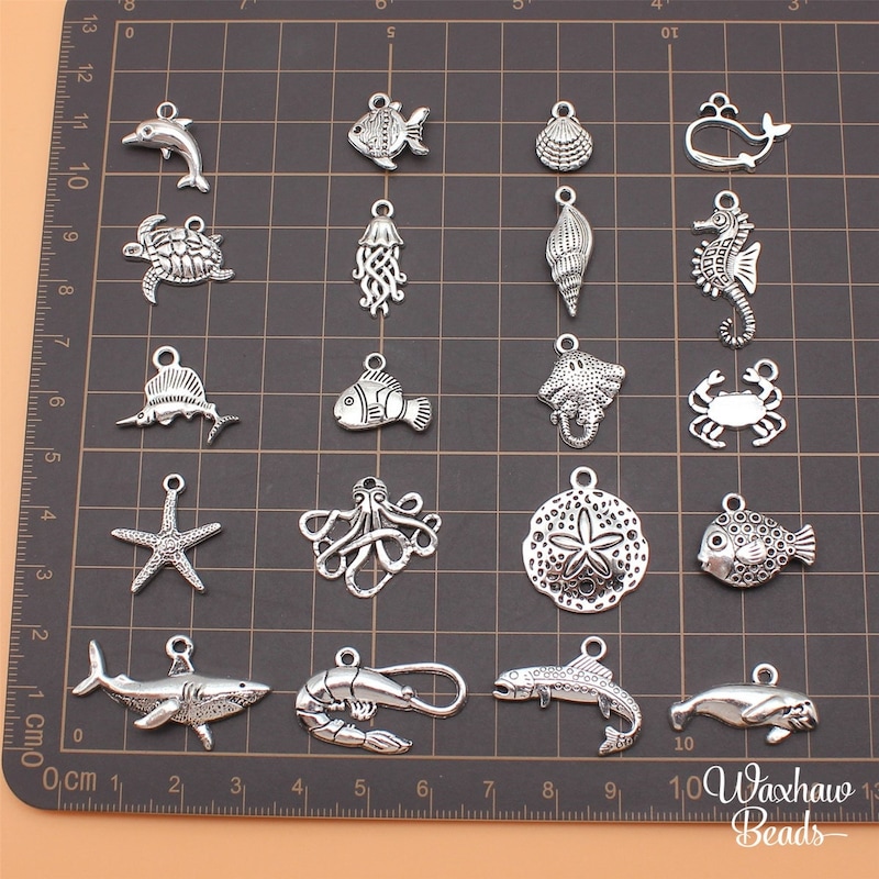 Mixed Seashell Charms - Etsy