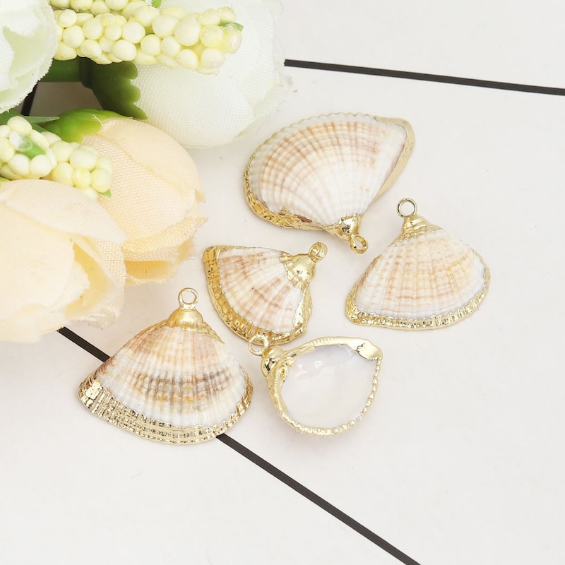 Shell Charms - Etsy