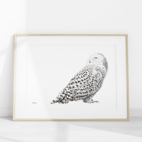 Owl Print - Etsy
