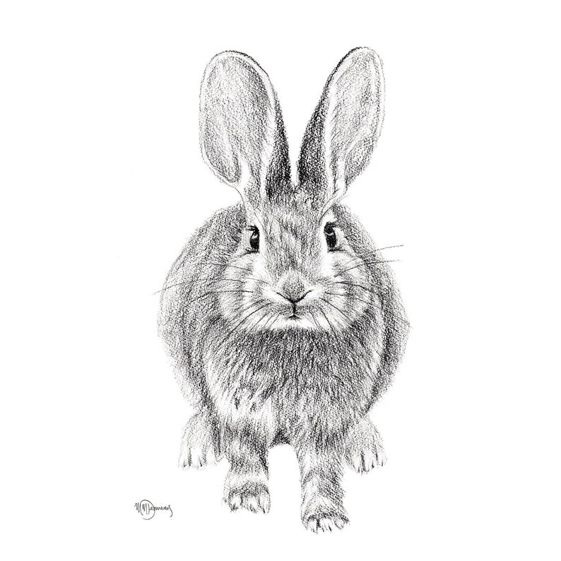 Set of 2 Printable Rabbit Posters, Rabbit Art Kids Baby Animal ...