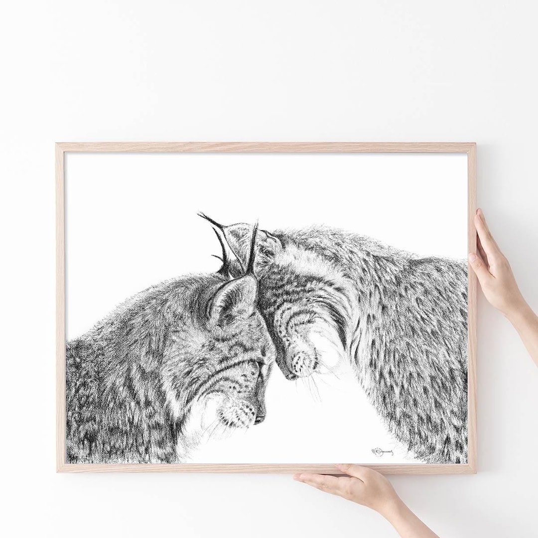 Printable Lynx Poster, Lynx Love Illustration, Black and White Animal ...