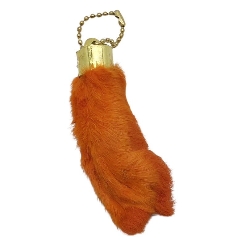 LUCKY Rabbit Foot Taxidermy Good Luck Charm Pendant Key Ring - Etsy UK