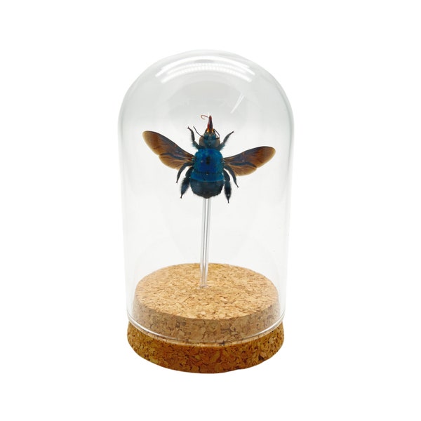 Bell Jar - Etsy UK