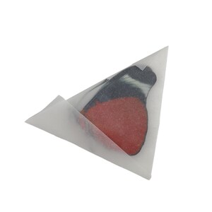 The Prola Beauty Red Flasher Butterfly (panacea Prola) Lepidoptera ...