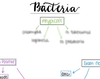 Quick Reference Guide | Etsy