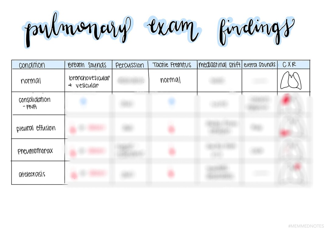 Pulmonary Exam Chart Study Sheet - Etsy