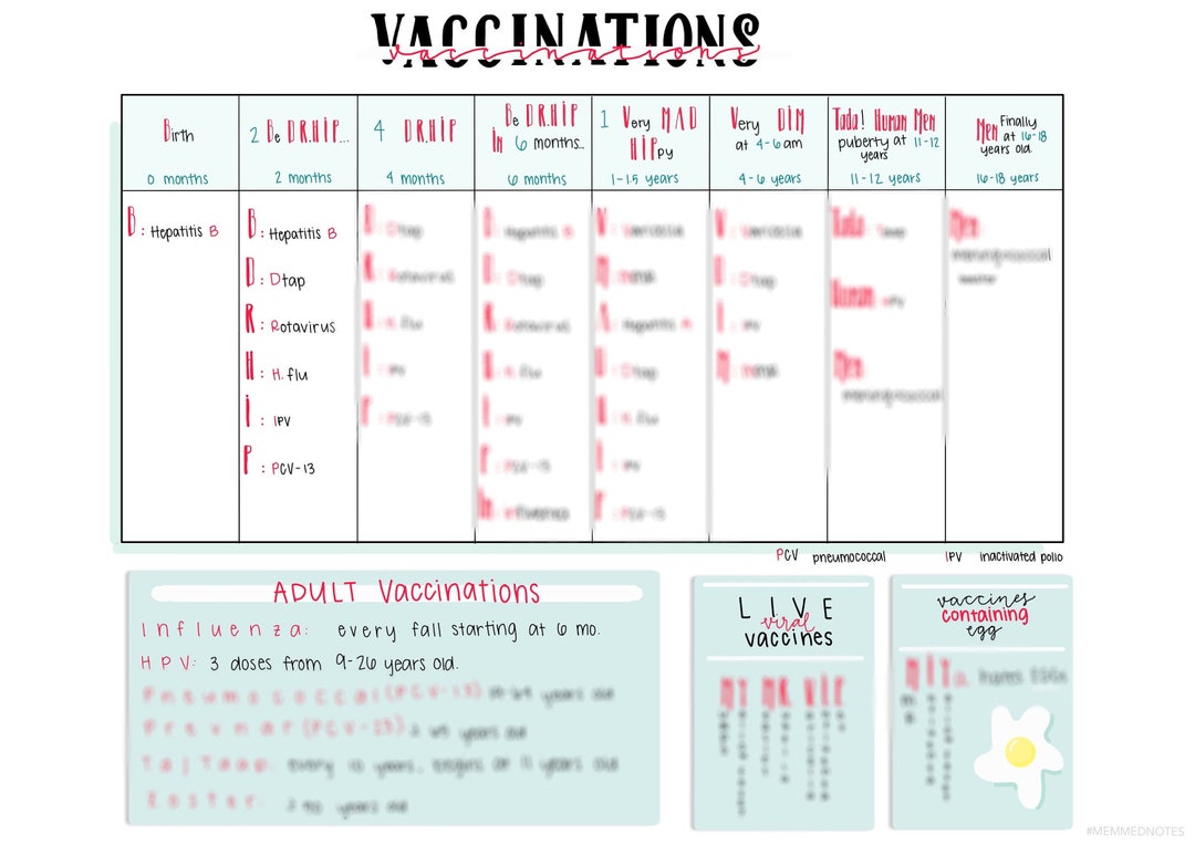 Vaccination Schedule Study Sheet With Mnemonics - Etsy
