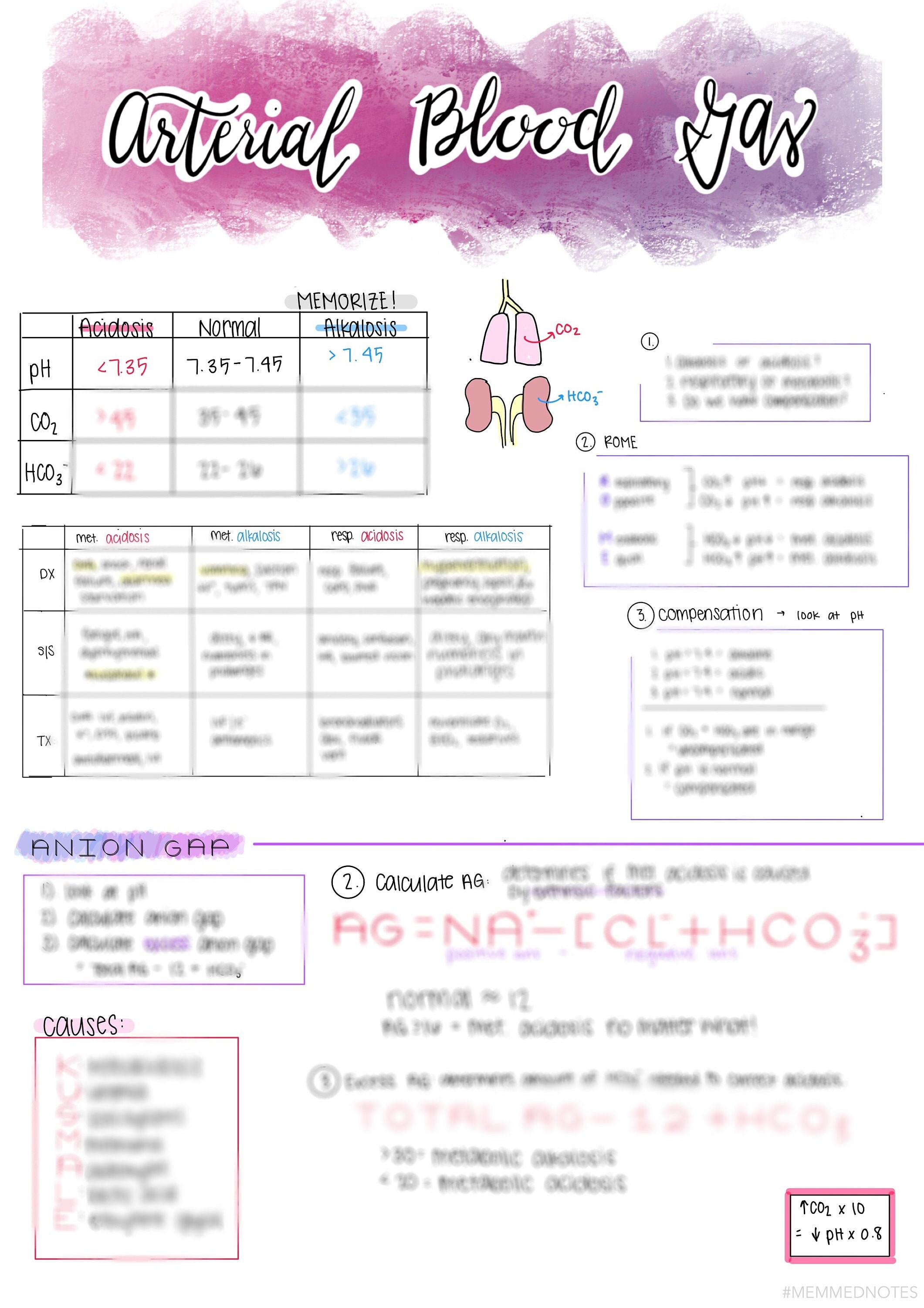 ABG Interpretation Study Sheet - Etsy