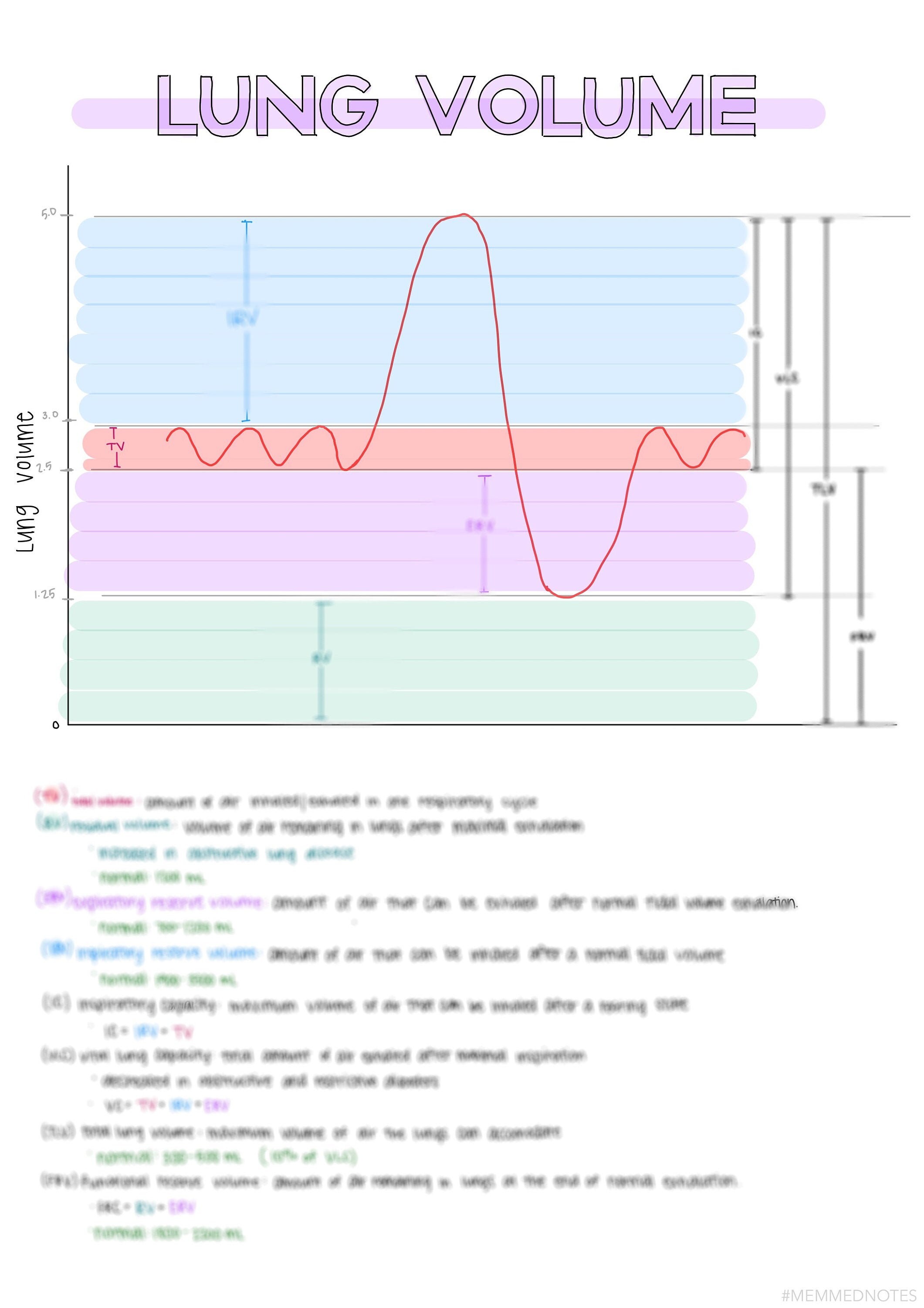 Lung Volume Study Sheet - Etsy