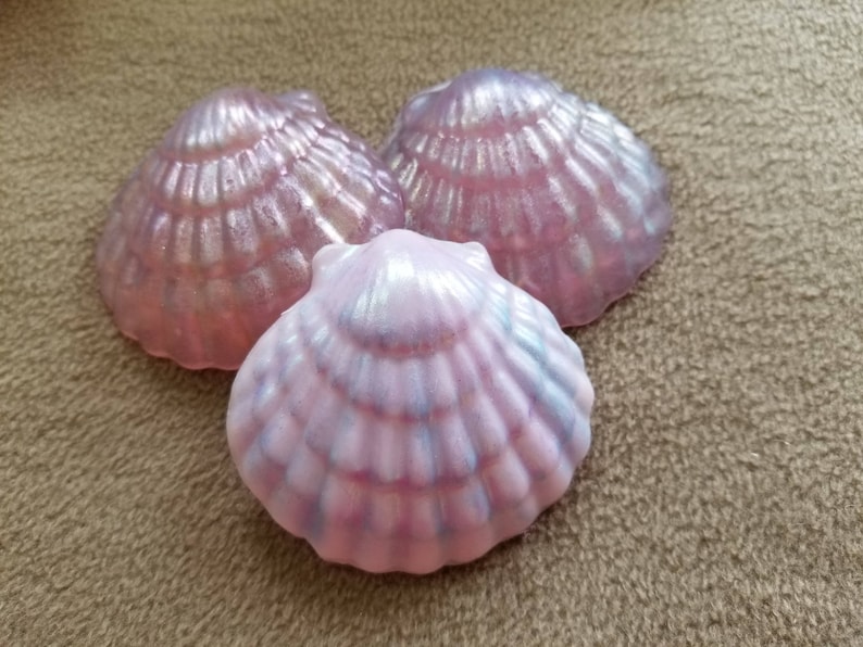 Soap - Sea Shell Soap - Set of Four Scallop Shell Soaps - Etsy