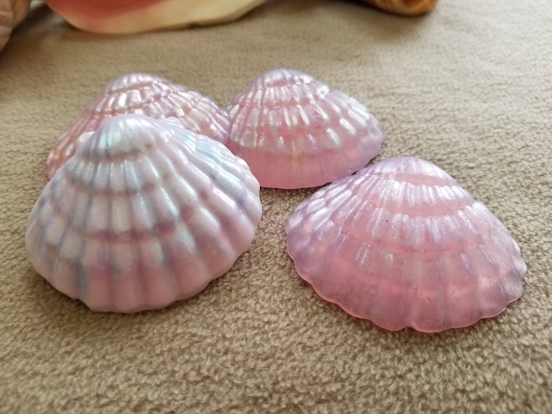 Soap - Sea Shell Soap - Set of Four Scallop Shell Soaps - Etsy