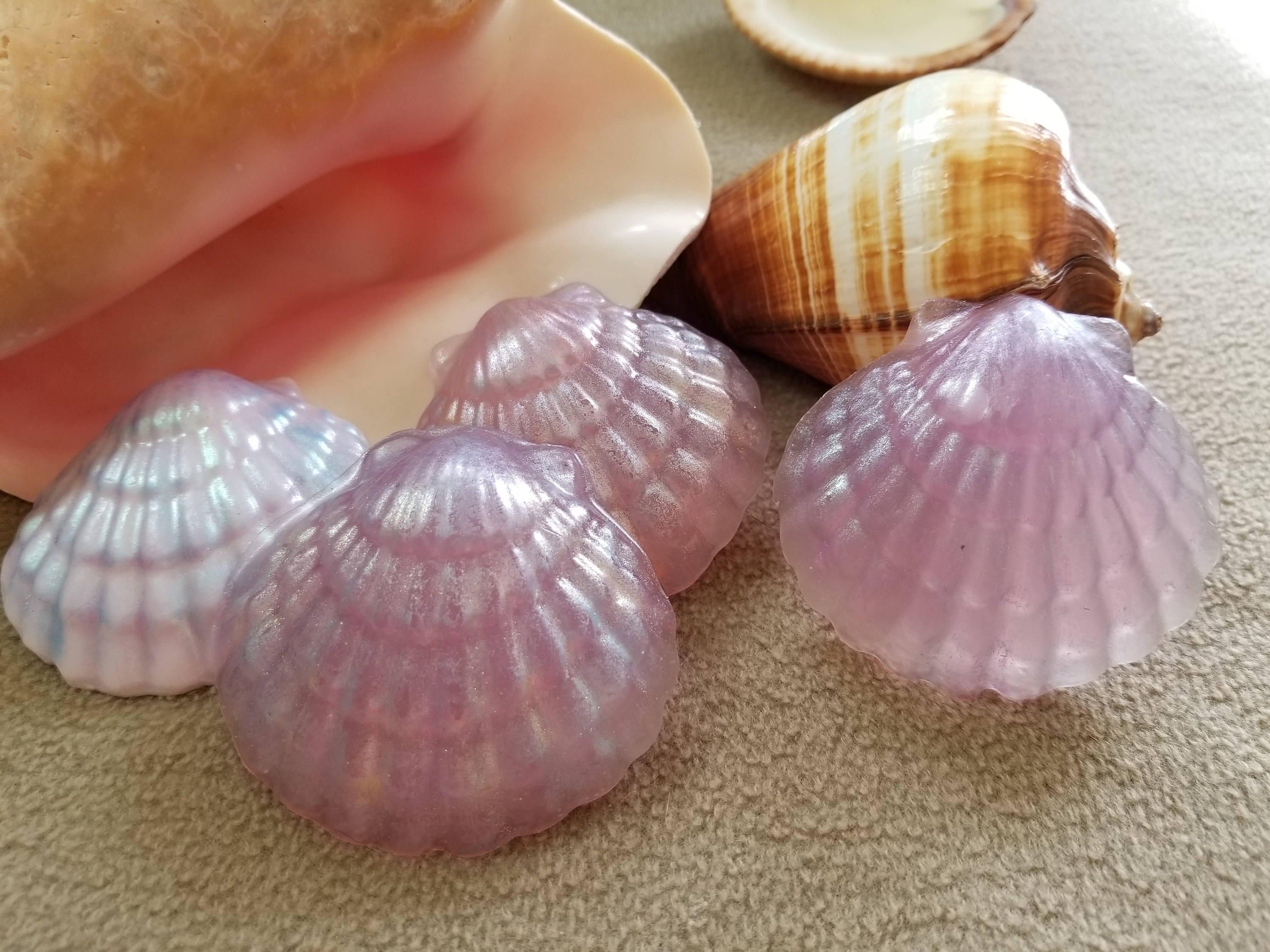 Soap - Sea Shell Soap - Set of Four Scallop Shell Soaps - Etsy