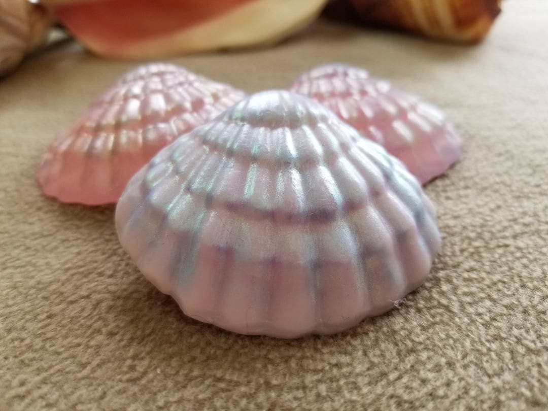 Soap - Sea Shell Soap - Set of Four Scallop Shell Soaps - Etsy
