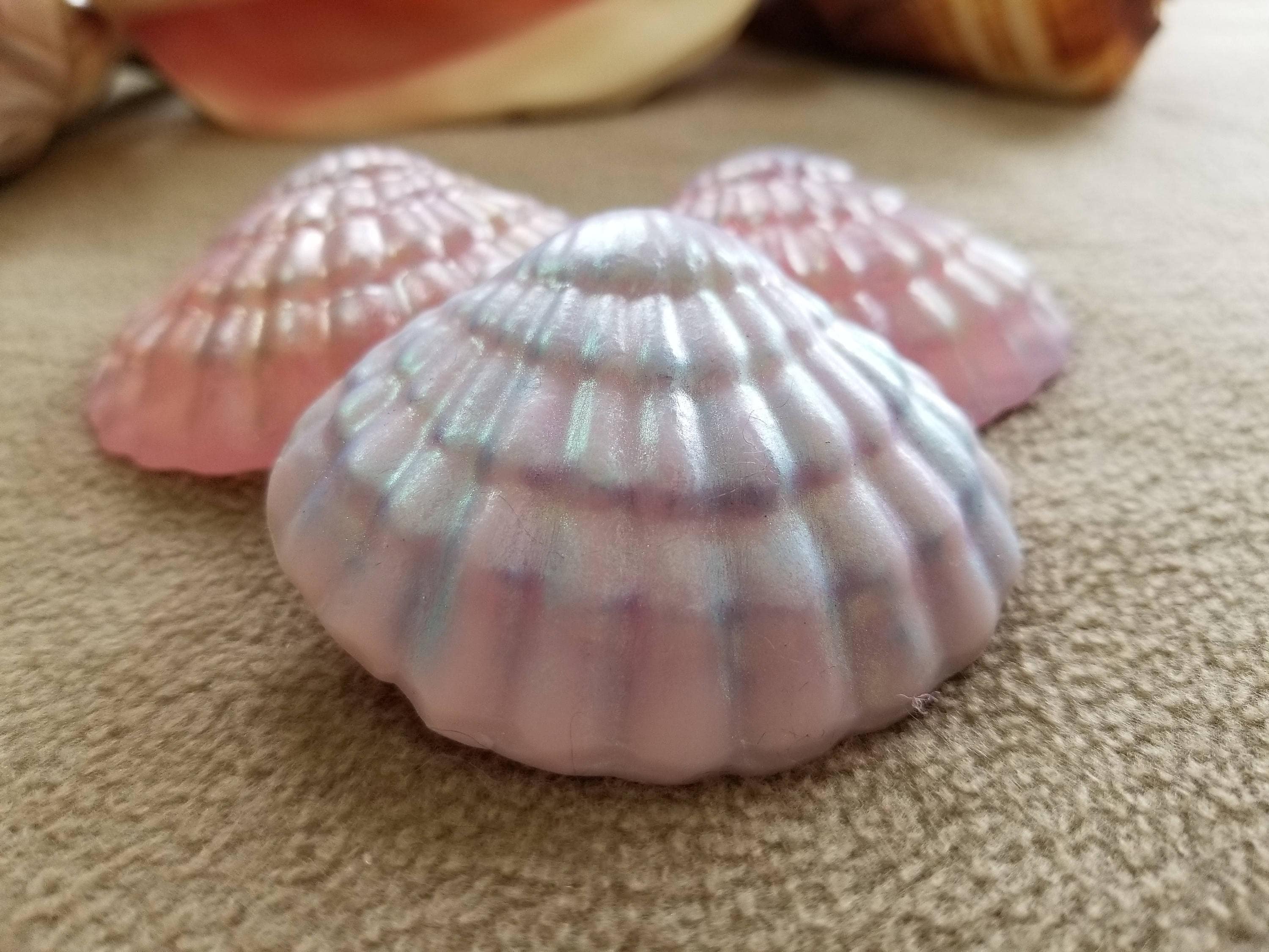 Soap - Sea Shell Soap - Set of Four Scallop Shell Soaps - Etsy