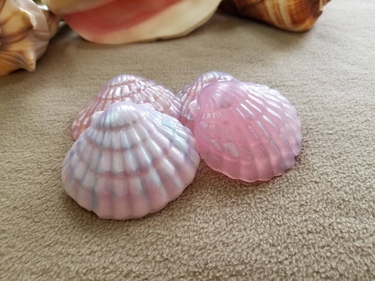Soap - Sea Shell Soap - Set of Four Scallop Shell Soaps - Etsy