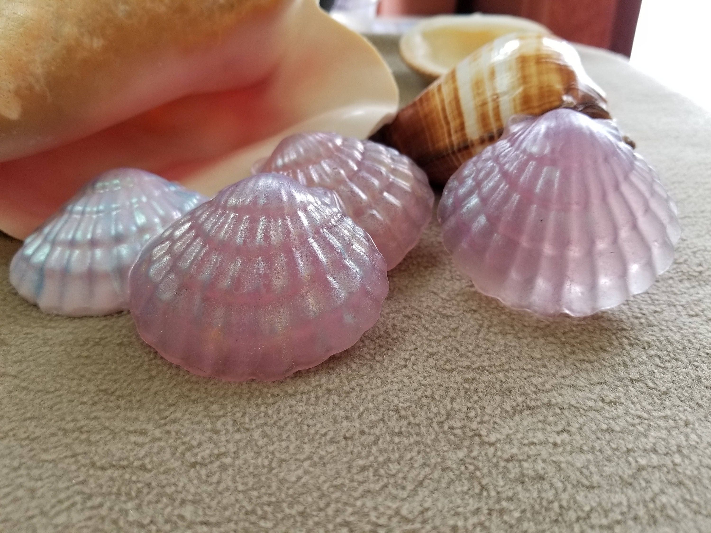 Soap - Sea Shell Soap - Set of Four Scallop Shell Soaps - Etsy
