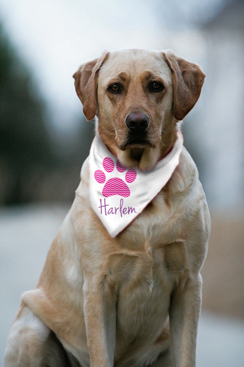 Custom Dog Bandana / Dog accessories / Dog Paw Print / Chevron | Etsy