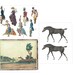 Antique Equestrian Paper Doll Horse Riding Image Clip Art - Etsy