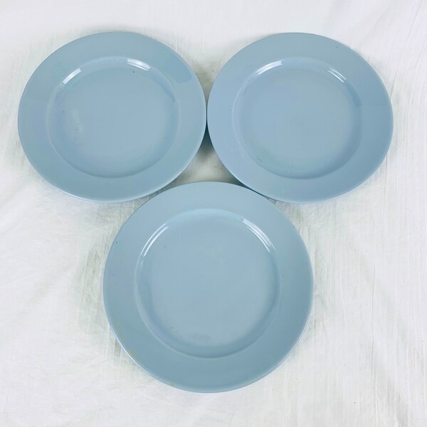 Diner Blue Plate Special - Etsy