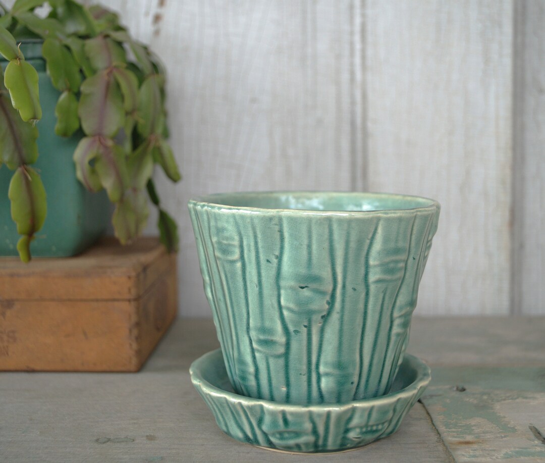 Brush Pottery Bamboo Motif Pot With Attach Saucer - Etsy