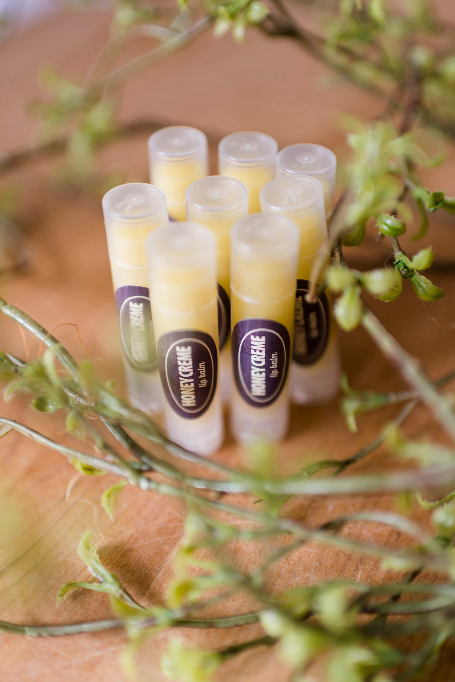 Bulk Wholesale Organic Lip Balm Honey Scented Plant Based - Etsy