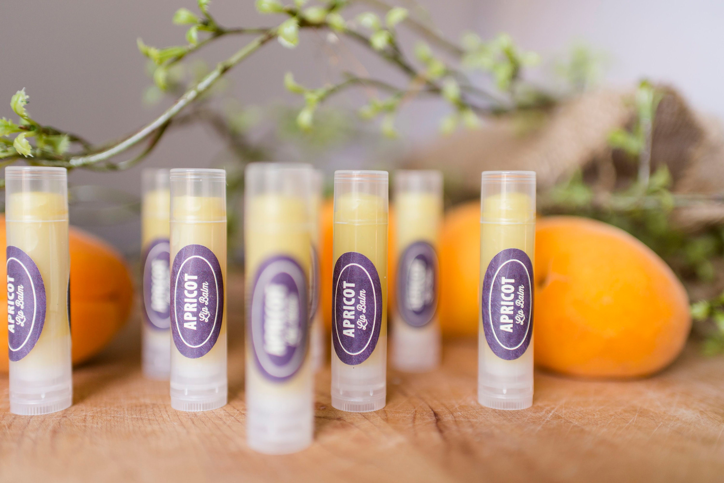 Bulk Wholesale Organic Lip Balm Apricot Fruit Flavored With | Etsy