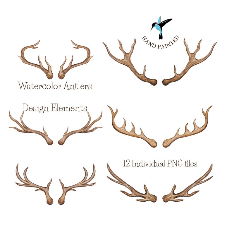 Antler Clipart - Etsy