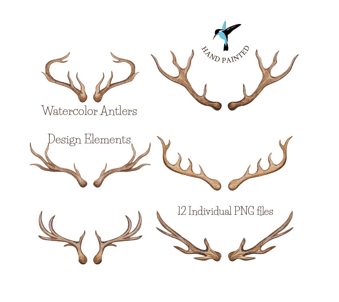 Watercolor Deer Antlers