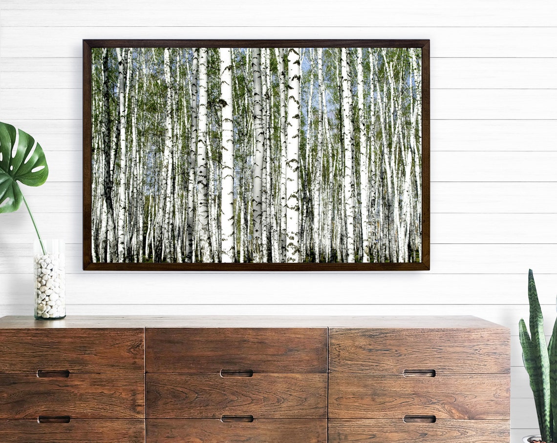 Birch Tree Wall Art Canvas Wrapped Frame Home Wall Decor - Etsy