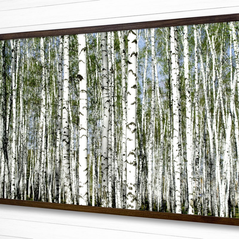Birch Tree Art - Etsy