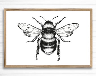 2 Piece Honey Bee Canvas Wall Art Print Set, Bee Home Decor - Etsy