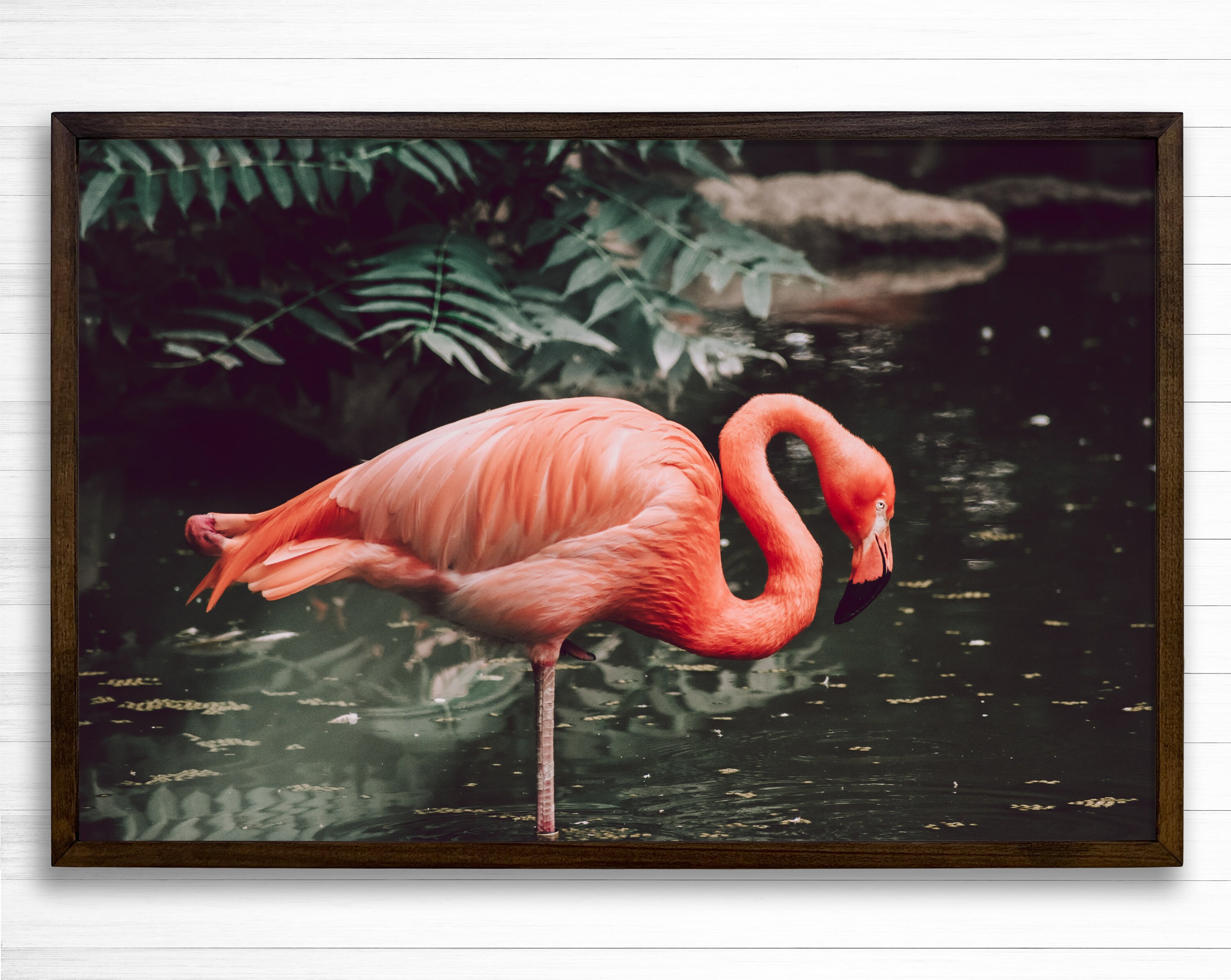 Pink Flamingo Picture | Home or Office Wall Art | Abstract Framed or ...