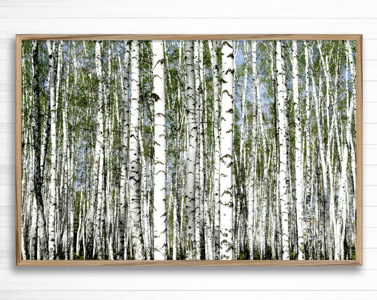 Birch Tree Wall Art Canvas Wrapped Frame Home Wall Decor - Etsy