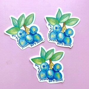 Motivational Fruit Stickers | Blueberry Sticker | Strawberry Sticker ...